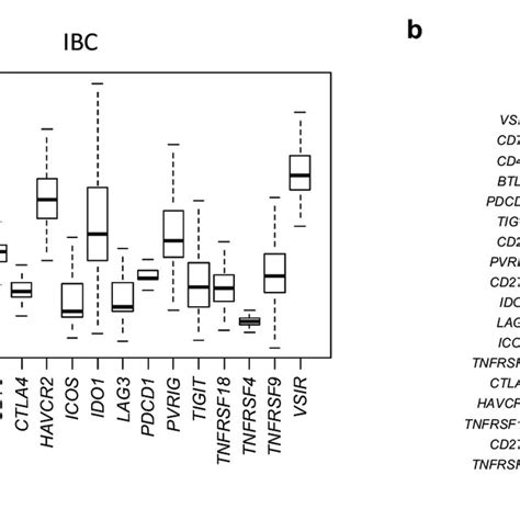 Cellular And Molecular Signals That Control Tls Formation The Local