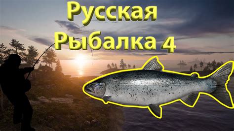 #Рыбалка Русская рыбалка 4/Ладожский Архипелаг/Тролинг на Архипелаге ...