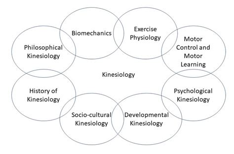 Kinesiology Introduction To Kinesiology Preview