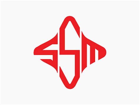 sai swami metals and alloys ltd s rs 15 crore public issue received