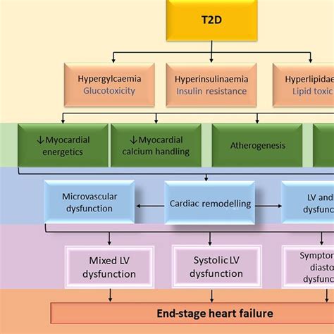 Cardiac Predictors Of Exercise Capacity In T2d Download Scientific