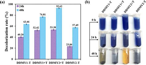 Comparison Of Decolorization Rates A And Decolorization Performance Download Scientific