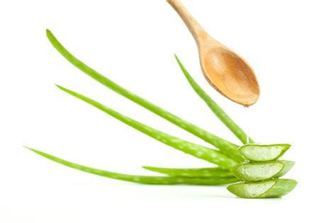 갓 썬 알로에 베라 흰색 바탕에 녹색 피부 질감과 육즙 보여주는 신선한 알로에 베라 햇볕 릴리프에 대 한 자연 치료 이며 많은 것 들을 치료 0명에 대한 스톡 사진 및 기타