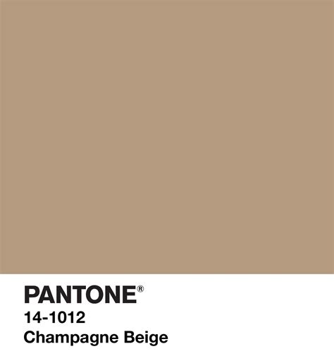Champagne Beige Marrons E Beges Colores Pinturas E Capas