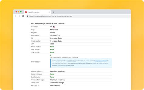 How Can I Check If My Proxy Is Secure