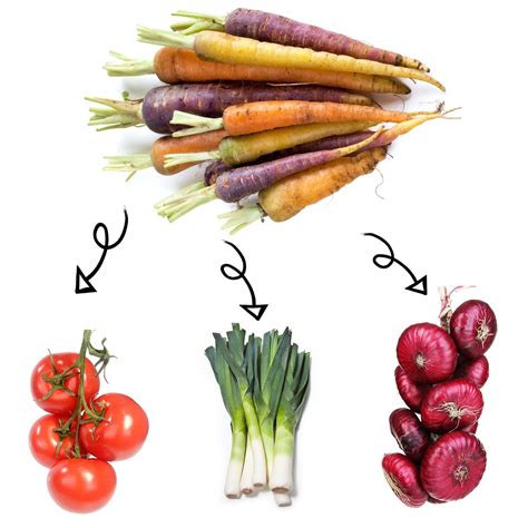 Companion Planting For Garbanzo Beans At Thomas Woodward Blog