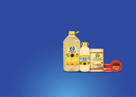 Analema Group Transmission Telepresence And Eeg Installation Would You Like To Collaborate