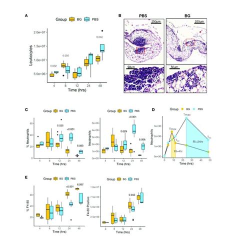 Leukocyte Infiltration In The Peritoneal Cavity A Flow Cytometry Download Scientific Diagram