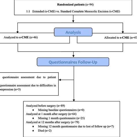 Superior Hypogastric Plexus Shp Download Scientific Diagram