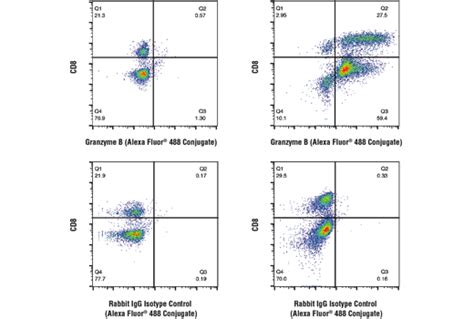 Mouse Essential T Cell Markers Flow Cytometry Panel Cell Signaling Technology