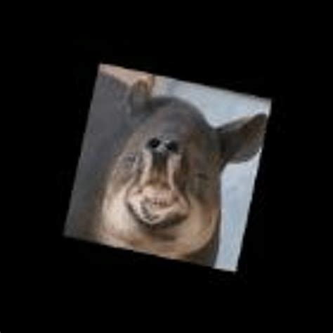 Stream Thearchy Fnf By Walmartbag Listen Online For Free On Soundcloud