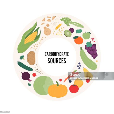 식품 가이드 개념 벡터 플랫 모던 일러스트레이션 탄수화물 소스 라벨 식품 플레이트 인포그래픽 원 프레임 야채 과일 곡물 및