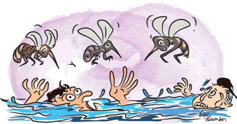 වැවට නාන්න ගිය අයට දෙබරු ඇනලා Lankadeepa Online