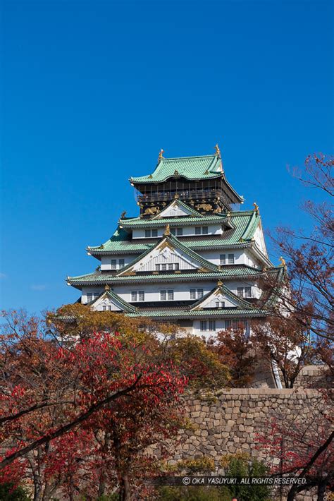 西の丸から見る大阪城天守閣と紅葉 大阪城の新撮写真 城の写真集 お城めぐりfan Library