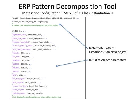 ppt nemo erp analysis toolkit erp pattern decomposition powerpoint
