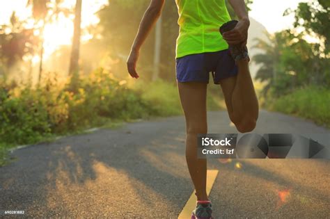 아침 숲 오솔길에서 실행 하기 전에 워밍업 하는 젊은 여성 러너 건강한 생활방식에 대한 스톡 사진 및 기타 이미지 건강한 생활방식 검은색 녹색 Istock