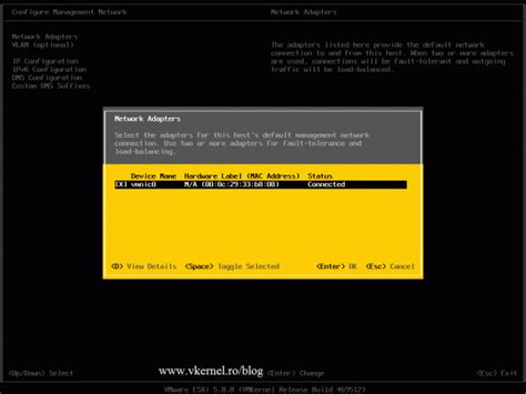 Configuring VMware ESXi 5 Adrian Costea S Blog