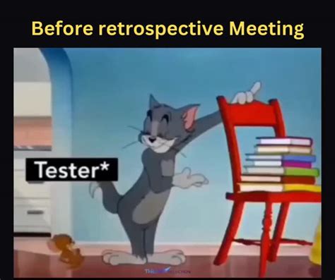 Memes Developer Analyst Software Developer