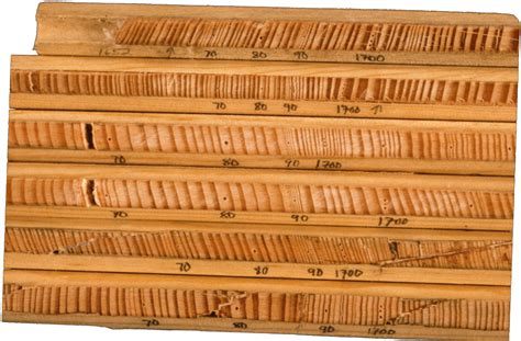 Tree Ring Dating Accuracy Circlesokol