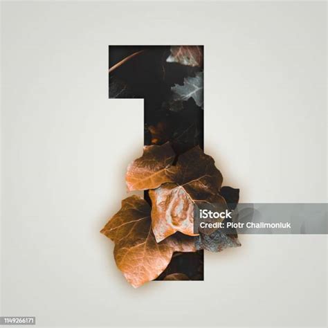 자연 개념입니다 회색 배경에 화려한 나뭇잎과 창조적 인 번호 단풍과 창조적 인 타이포 그래피 프레젠테이션 서식 파일의 장입니다 1 개 번호 0명에 대한 스톡 사진 및 기타