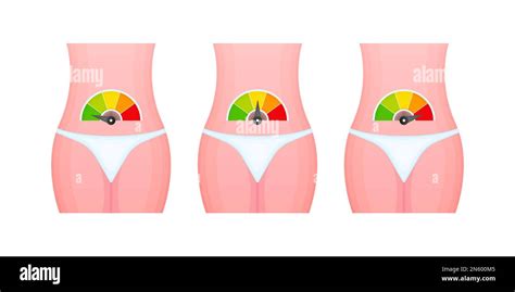 Metabolism Level Scale Speedometer Indicators Metabolism Medical Stock Vector Image And Art Alamy