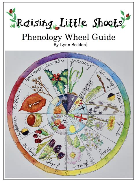 Phenology Wheel Template Free Printable Word Searches