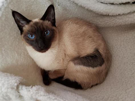 Abby Wolf Reblogs On Tumblr