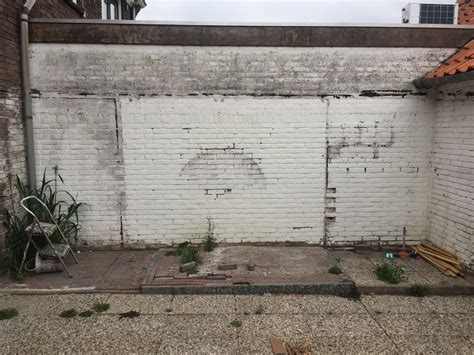 Working Around Roots From The Neighbours Fruit Trees Forum At Permies