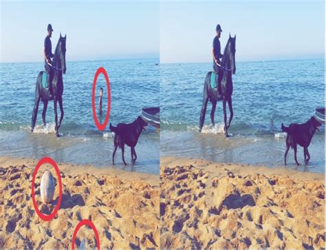 Remove Objects From Images Without Distorting Them Retouch By Alasmara
