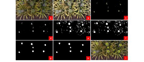 Crop Image Of A Original Image B Contrast Enhancement Clahe