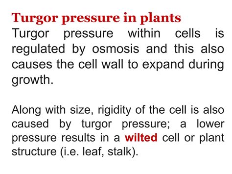 2 Osmotic Pressure Osmotic Potential Turgor Pressure Wall Pressure