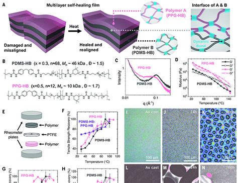 Zhenan Bao On Linkedin Autonomous Alignment And Healing In Multilayer