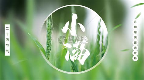 小满图片素材 正版创意图片401921173 摄图网