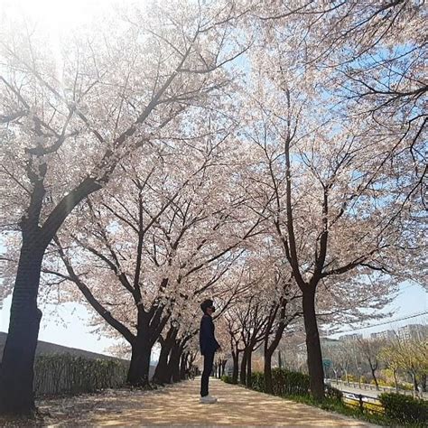 엄마친구아저씨 Youtube