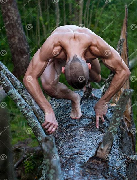 Male Model In The Forest Stock Image Image Of Nature 169959971