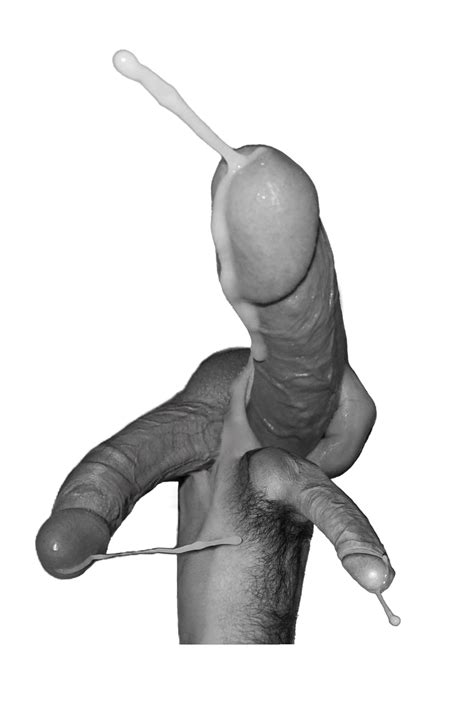 Tree Of Life PORNCEPTUAL