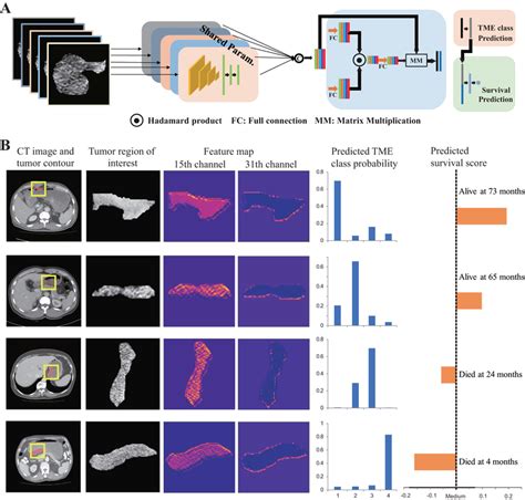 Proposed Deep Learning Model And Visualization Prediction For