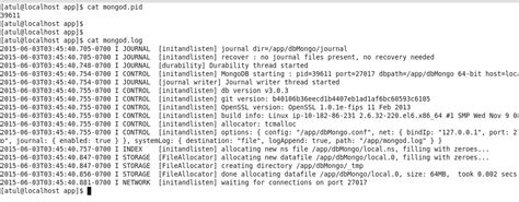 Nuts Bolts Of DataStage MongoDB Configuration In Linux