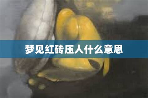 梦见红砖压人什么意思 命理解梦
