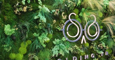 Yb Group Photos Vidéos Recrutement Blue Estate Group