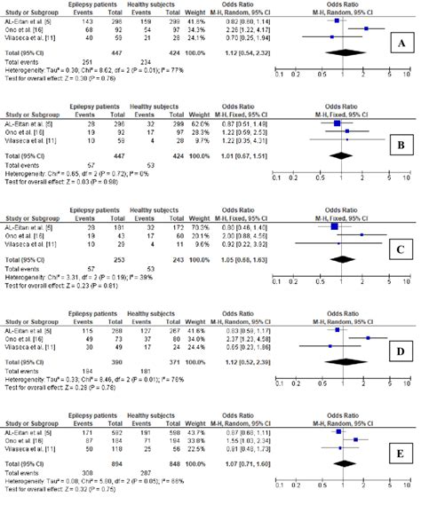 Forest Plots For Relations Between Different Genetic Models Of Mthfr