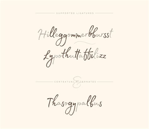 Madelyn Script Behance