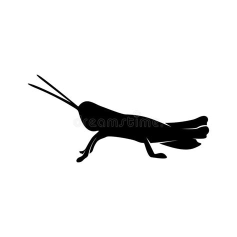 Set Of Grasshopper Logo Design Vector Illustration Grasshopper Design