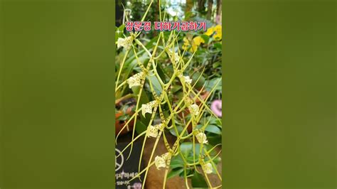 강문경 더하기곱하기 현역가왕2 Youtube