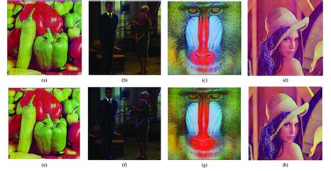 Recoveredextracted Images A To D For Svd Dwt And E To H For