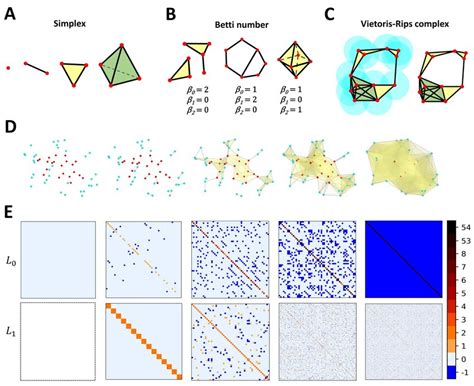 Illustration Of Fundamental Concepts In PerSpect A Examples Of Download Scientific Diagram