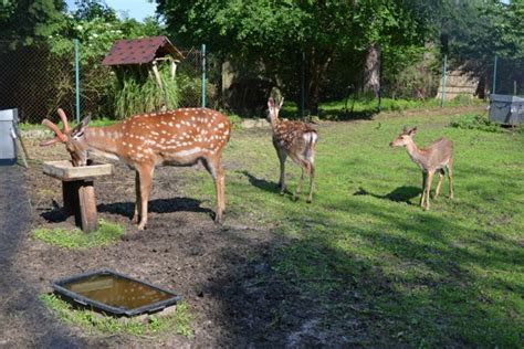Заповідне Розточчя дітям ціни відгуки замовити екскурсію