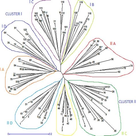 Population Structure Of 124 Rice Accessions Based On 22 Unlinked Ssr Download Scientific