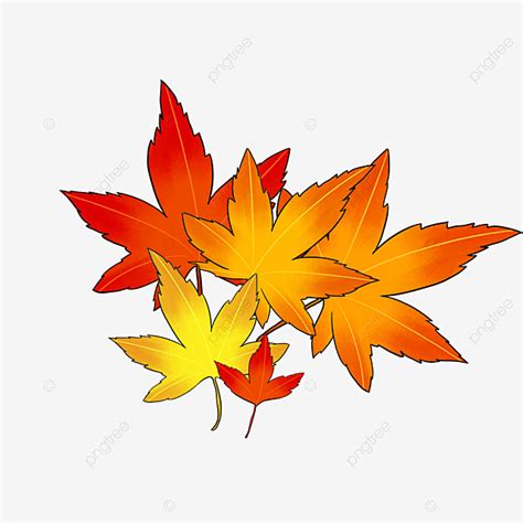 빨간색 메이플 그림 일러스트 리프 가을 단풍 잎 나무는 빨간색입니다 메이플 리프 클립 아트 단풍 나무 붉은 숲 붉은 단풍 나무 Png 일러스트 및 Psd 이미지 무료