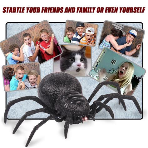 Remote Control Spider Scary Wolf Spider Robot Real Grandado